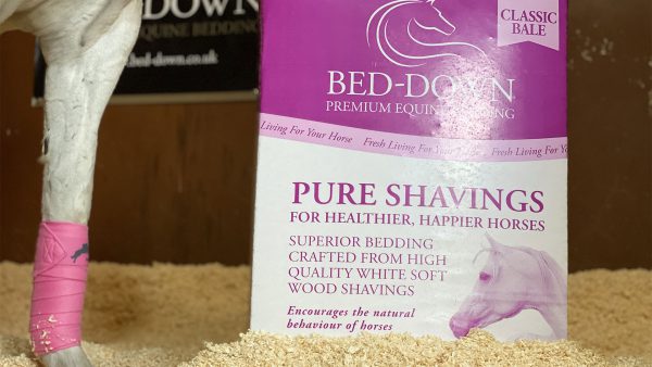 Equine Bedding | Bed-Down Equine Bedding